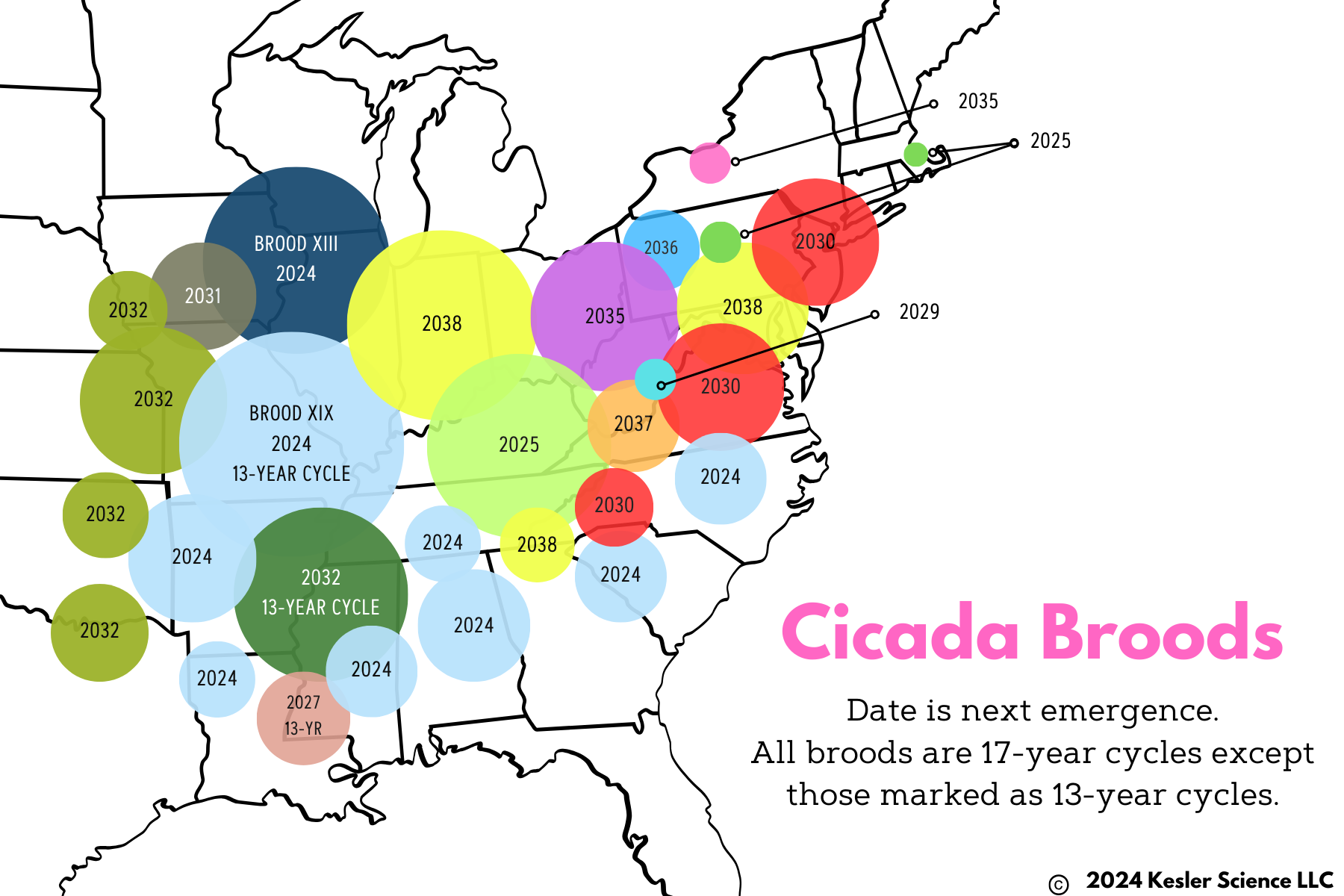 The Weird Life of Periodical Cicadas - Kesler Science Weekly Phenomenon ...