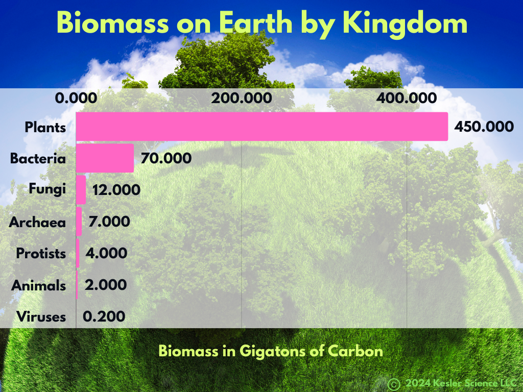 The Scale of Life - Kesler Science Weekly Phenomenon and Graph