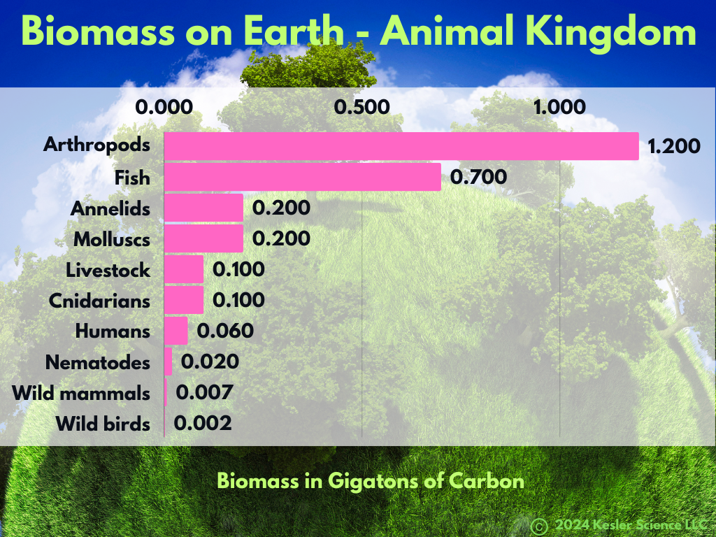 The Scale of Life - Kesler Science Weekly Phenomenon and Graph