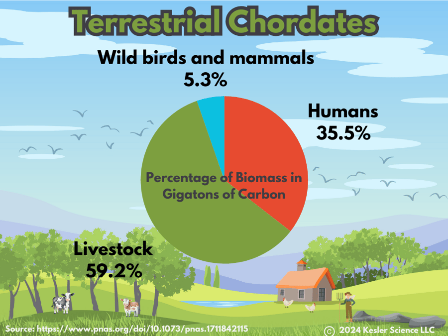 Chickens helping science? - Kesler Science Weekly Phenomenon and Graph