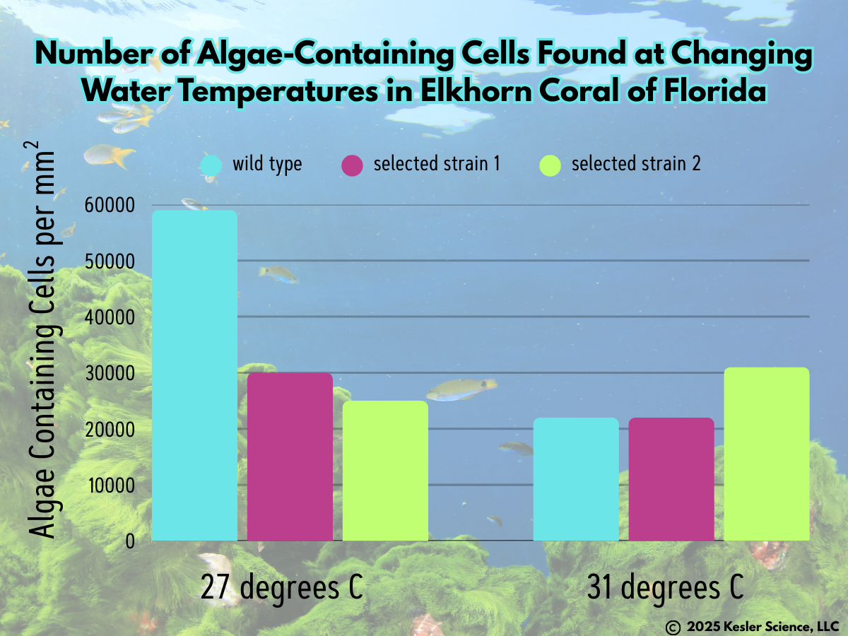 Creative coral reef interventions - Kesler Science Weekly Phenomenon ...