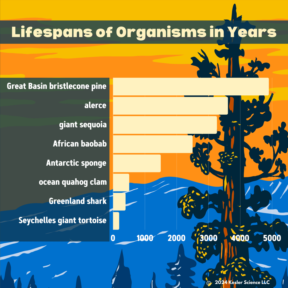 Biggest (and Oldest) Forms of Life - Kesler Science Weekly Phenomenon ...