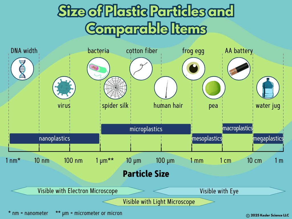 Plastic Pollution Solution- Kesler Science Weekly Phenomenon and Graph
