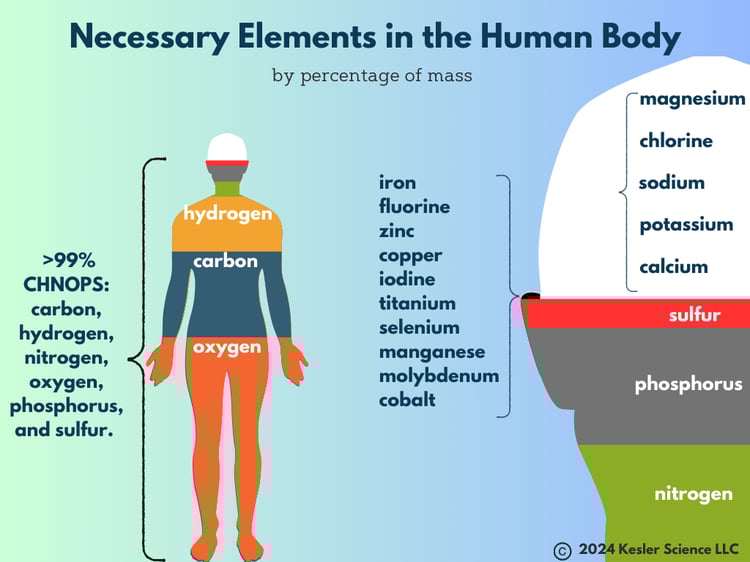 Surprising Elements Found in the Body - Kesler Science Weekly ...