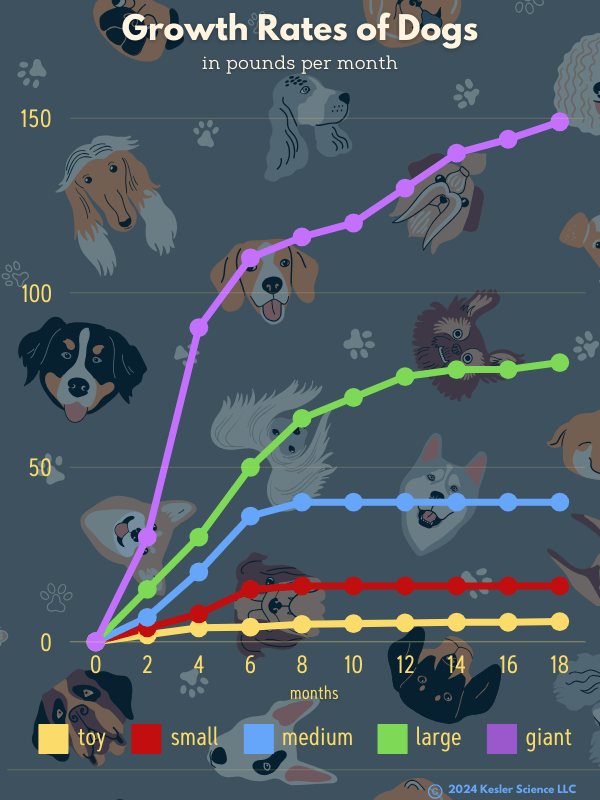 Dogs with Hard-Working Genes - Kesler Science Weekly Phenomenon and Graph